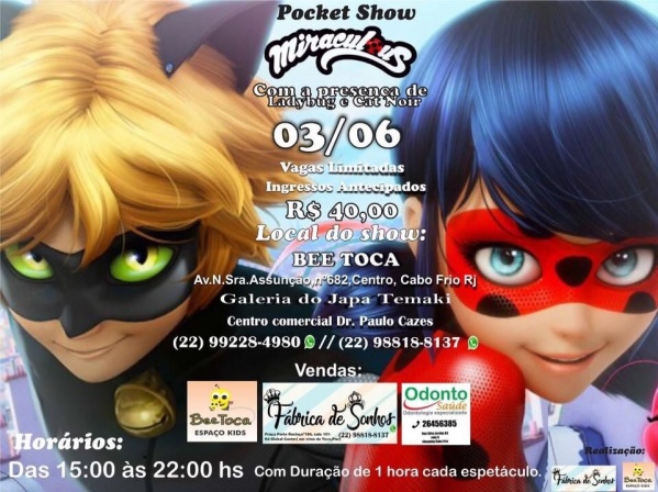 Pocket Show Miraculous com a presença de Ladybug e Cat Noir no BeeToca ...
