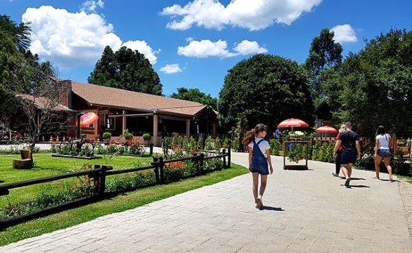 PASSEIO NA COLÔNIA WITMARSSUM em Palmeira - Sympla