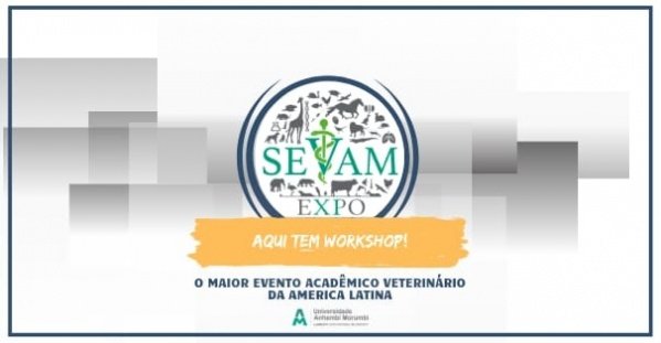 I Workshops - SEVAM em São Paulo - Sympla