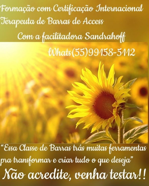 CURSO DE BARRAS DE ACCESS SANTA MARIA RS 13/06/2019 QUINTA WHATS(55 ...