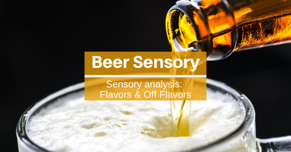 Beer Sensory Workshop em São Paulo - Sympla