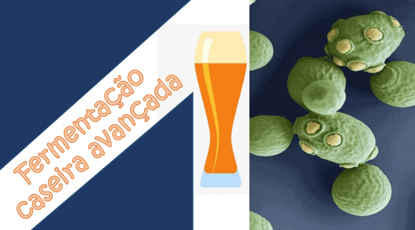 Fermentação caseira avançada de cervejas em Recife - Sympla