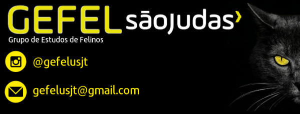 GEFel São Judas - Produtor - Eventos e Conteúdos na Sympla