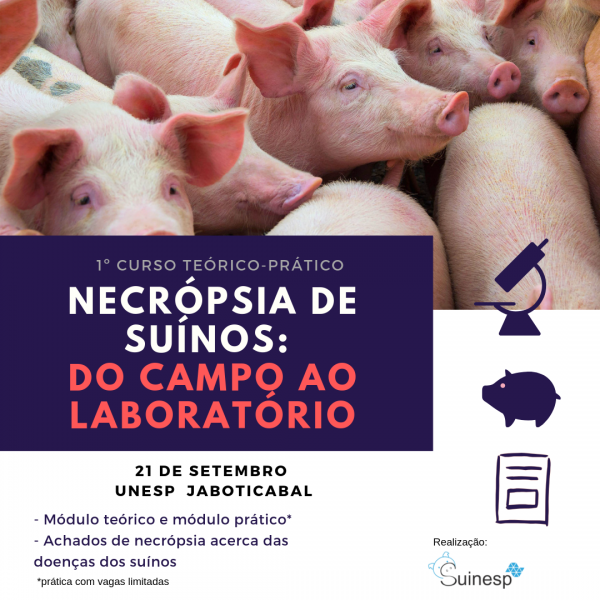 Necrópsia de Suínos: do campo ao laboratório em Jaboticabal - Sympla