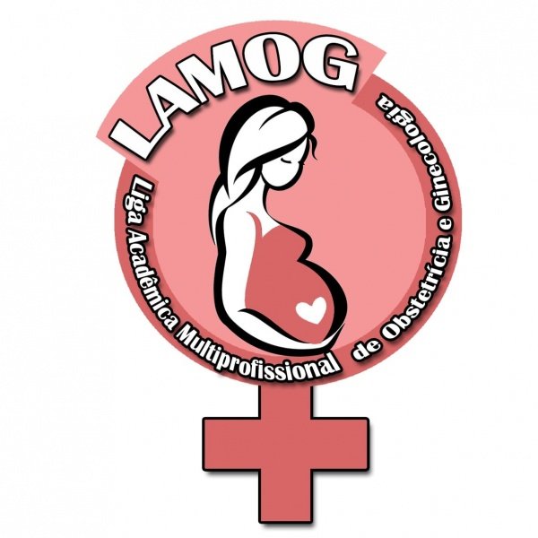 LAMOG _ Aula introdutória e PROSEL 2019.2 em Santo Antônio de Jesus ...