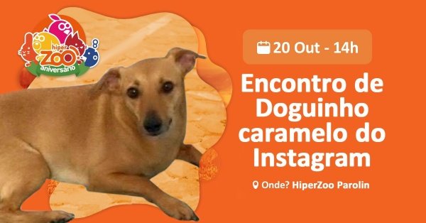 Encontro de Doguinho Caramelo do Instagram em Curitiba - Sympla