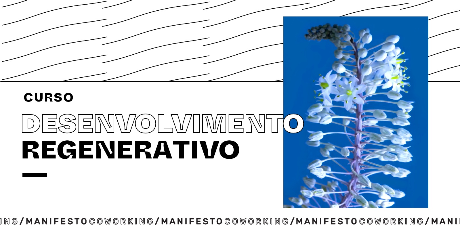 Introdução ao Desenvolvimento Regenerativo (Brasília) - Sympla Introdução ao Desenvolvimento Regenerativo (Brasília) - Sympla