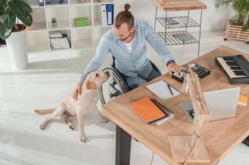 MOHOST -USO DO INSTRUMENTO DE IDENTIFICAÇÃO DA PARTICIPAÇÃO OCUPACIONAL ...