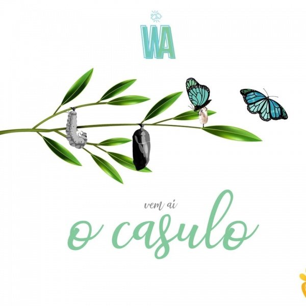 O CASULO - online - Sympla