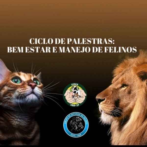 Ecologia, Conservação e Reabilitação de Felinos Selvagens - GEBEA e ...