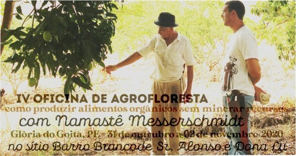 IV Curso de Agrofloresta Orgânica com Namastê Messerschmidt em Glória ...