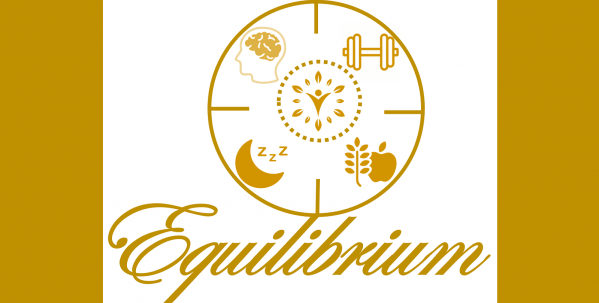 EQUILIBRIUM - Os 5 pilares para você viver em plenitude - online - Sympla