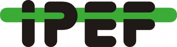 IPEF - Produtor - Eventos e Conteúdos na Sympla