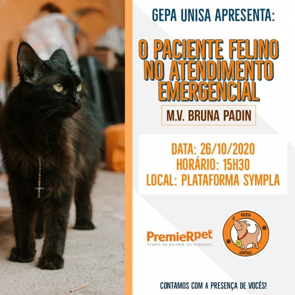 GEPA UNISA - O PACIENTE FELINO NO ATENDIMENTO EMERGENCIAL - online - Sympla