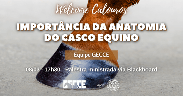 GECCE: A importância da anatomia do casco equino - online - Sympla