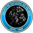 GEFel UNIP SP - Produtor - Eventos e Conteúdos na Sympla
