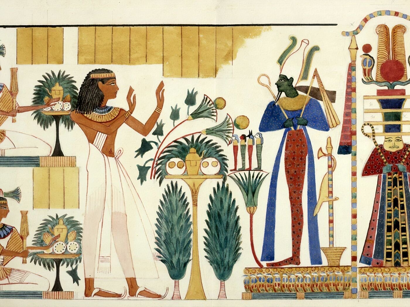 Evolução Da Cannabis Online Sympla