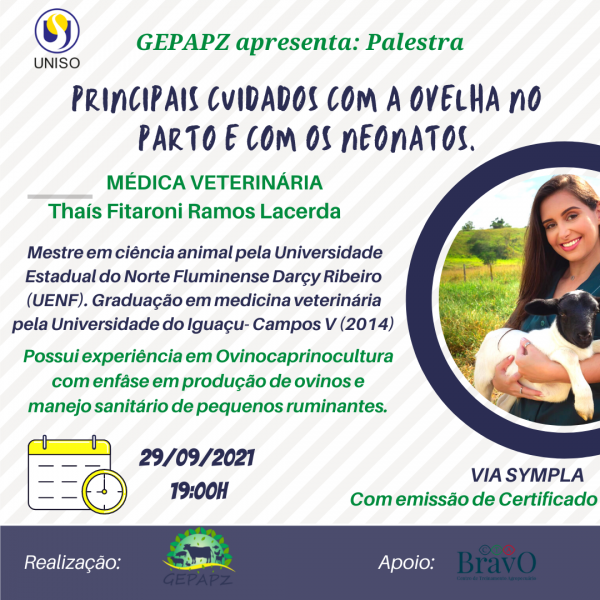 Principais cuidados com a ovelha no parto e com os neonatos - online ...