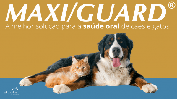 Teste da campanha MAXI/GUARD - online - Sympla