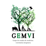 GEMVI FKMG - Produtor - Eventos e Conteúdos na Sympla