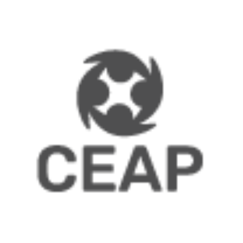 Centro de Articulação de Populações Marginalizadas (CEAP) - Produtor ...