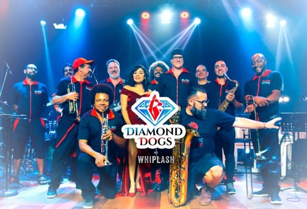 Diamond Dogs - Tributo a David Bowie em São Paulo - Sympla