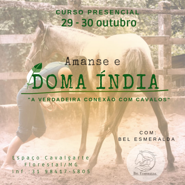 Curso de Amanse e Doma Índia em Florestal - Sympla
