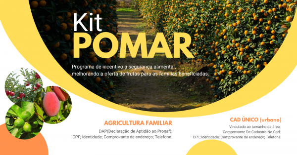 Kit Pomar em Pará de Minas - Sympla