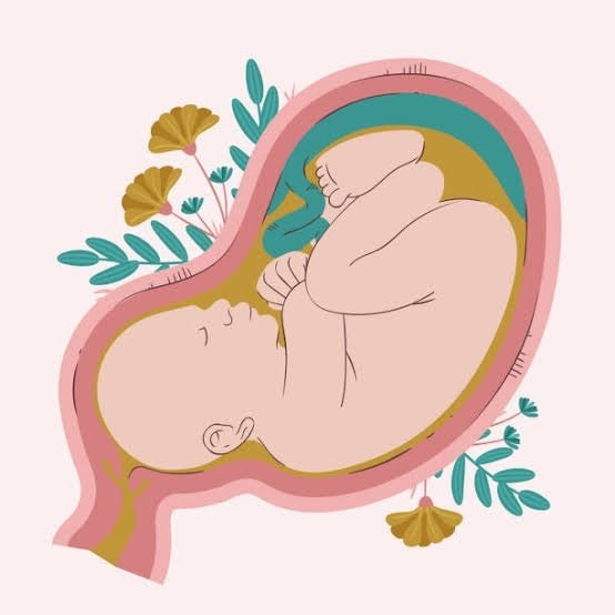 Nascimento Consciente - Criando Filhos para o Novo Mundo - online - Sympla