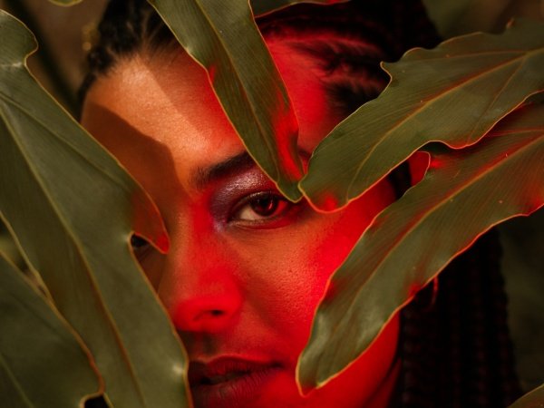 O Araçá apresenta Anis de Flor em Florianópolis - Sympla