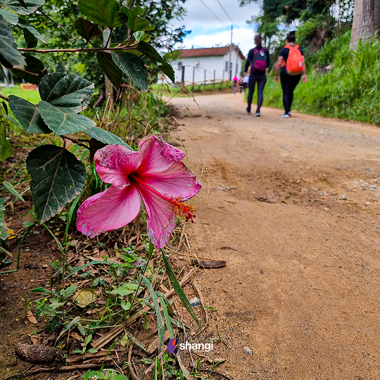 EXPERIÊNCIA DE 01 DIA - TRAVESSIA DE 18KM em São Roque - Sympla