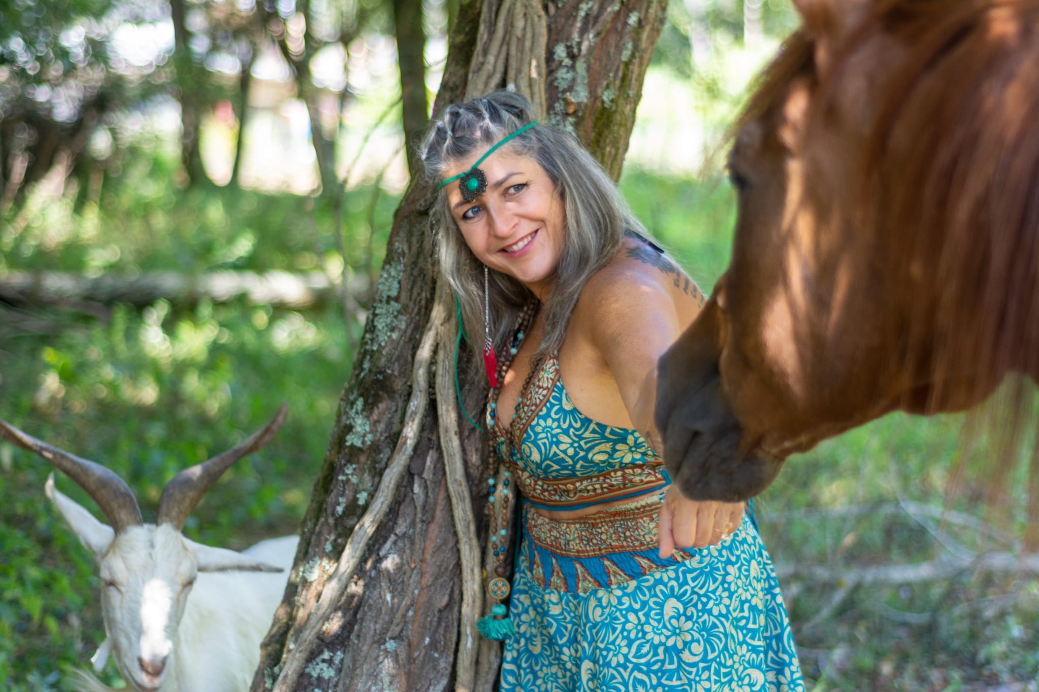 Workshop Guardiões da Medicina do Cavalo - Com Xanda Bard em Camaragibe - Sympla