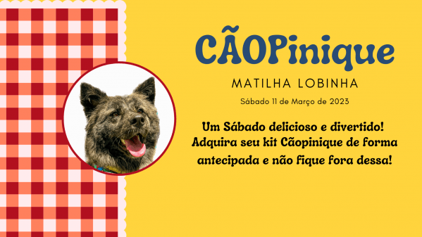 1º CÃOPinique Matilha Lobinha em Belo Horizonte - Sympla