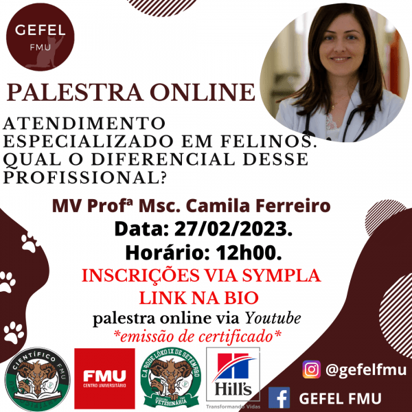 PALESTRA GEFEL - Atendimento Especializado em Felinos. Qual o ...