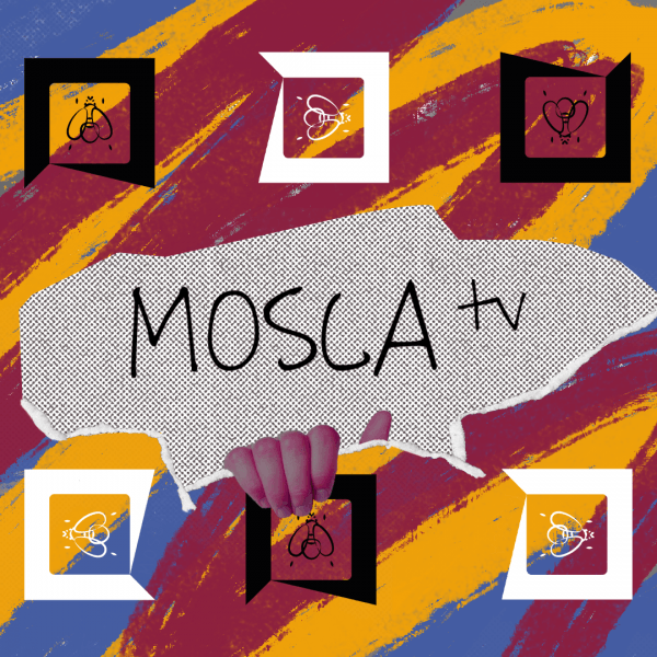 Cia MOSCA - Produtor - Eventos e Conteúdos na Sympla