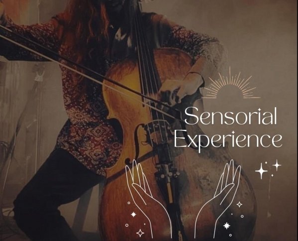 Sensorial Experience em Florianópolis - Sympla