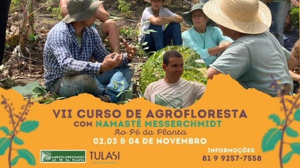 VII Curso de Agrofloresta com Namaste Messerschmidt em Recife - Sympla