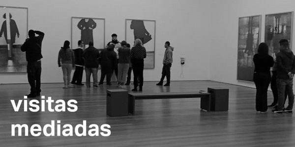 [Visitas Mediadas] Exposição em cartaz: IOLE DE FREITAS |HELENA ALMEIDA ...