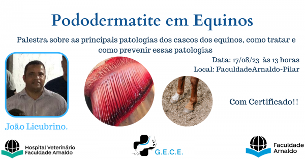Pododermatite em Equinos em Belo Horizonte - Sympla