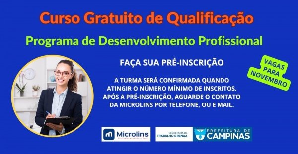 Programa de Desenvolvimento Profissional - MICROLINS (Novembro ...