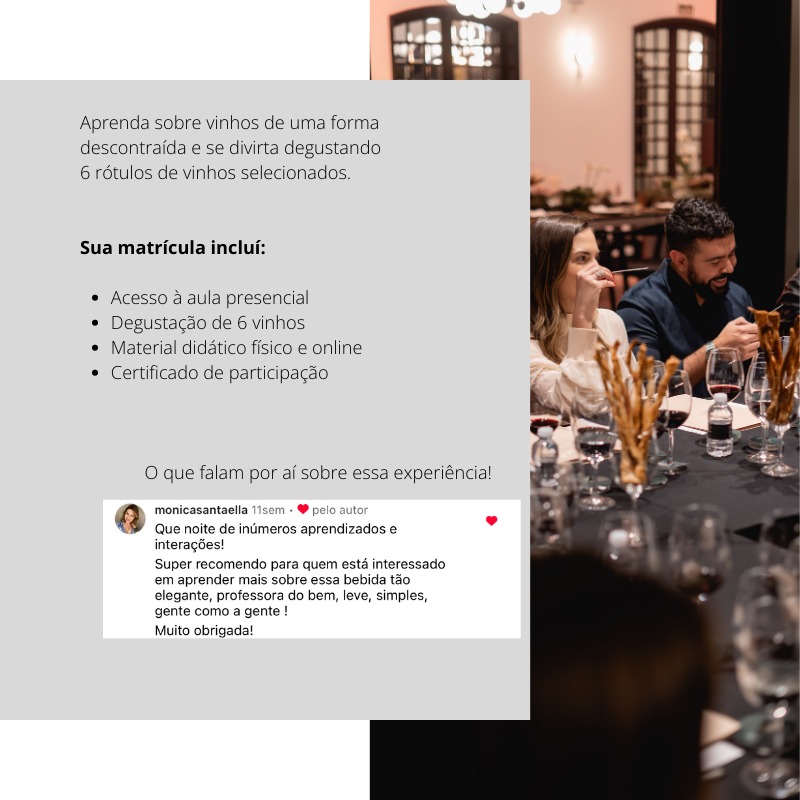 Curso De Harmonização Vinho Comida Com Isabela Candelaria Em São