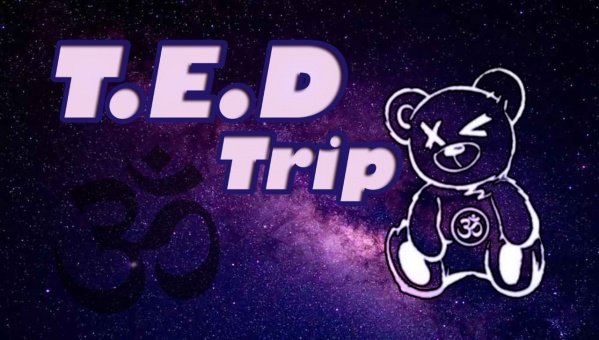 T.E.D TRIPP em São Paulo - Sympla