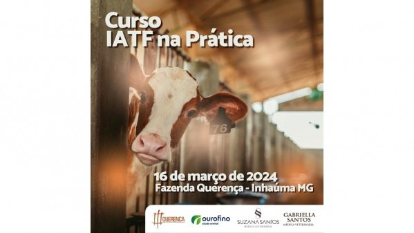 Curso de IATF na Prática em Inhaúma - Sympla