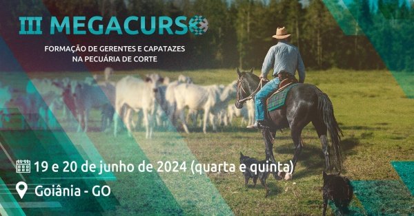 3º MEGACURSO DE GERENTES E CAPATAZES em Goiânia - Sympla