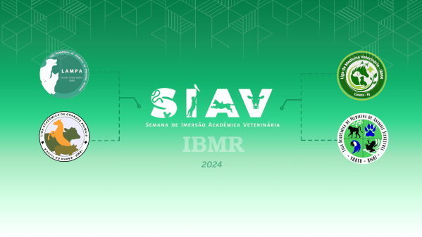 SIAV 2024 em Rio de Janeiro - Sympla