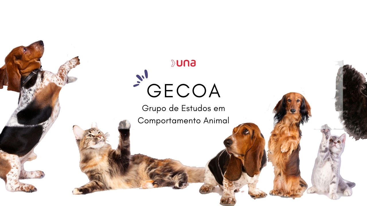 GECOA - Grupo de Estudo em Comportamento e Bem-Estar Animal - Produtor ...