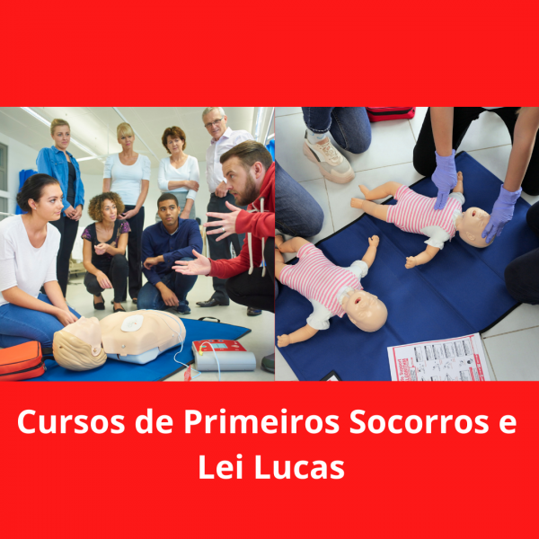 Curso de Primeiros Socorros - Lei Lucas em Osasco - Sympla