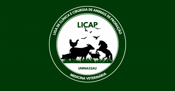 Evento teste LICAP - online - Sympla