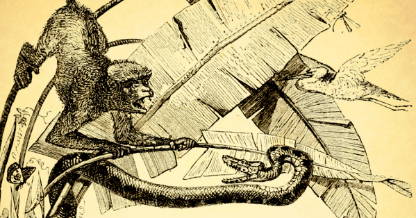 MATRIZ APRESENTA - O Molho e Pepous People em Belo Horizonte - Sympla