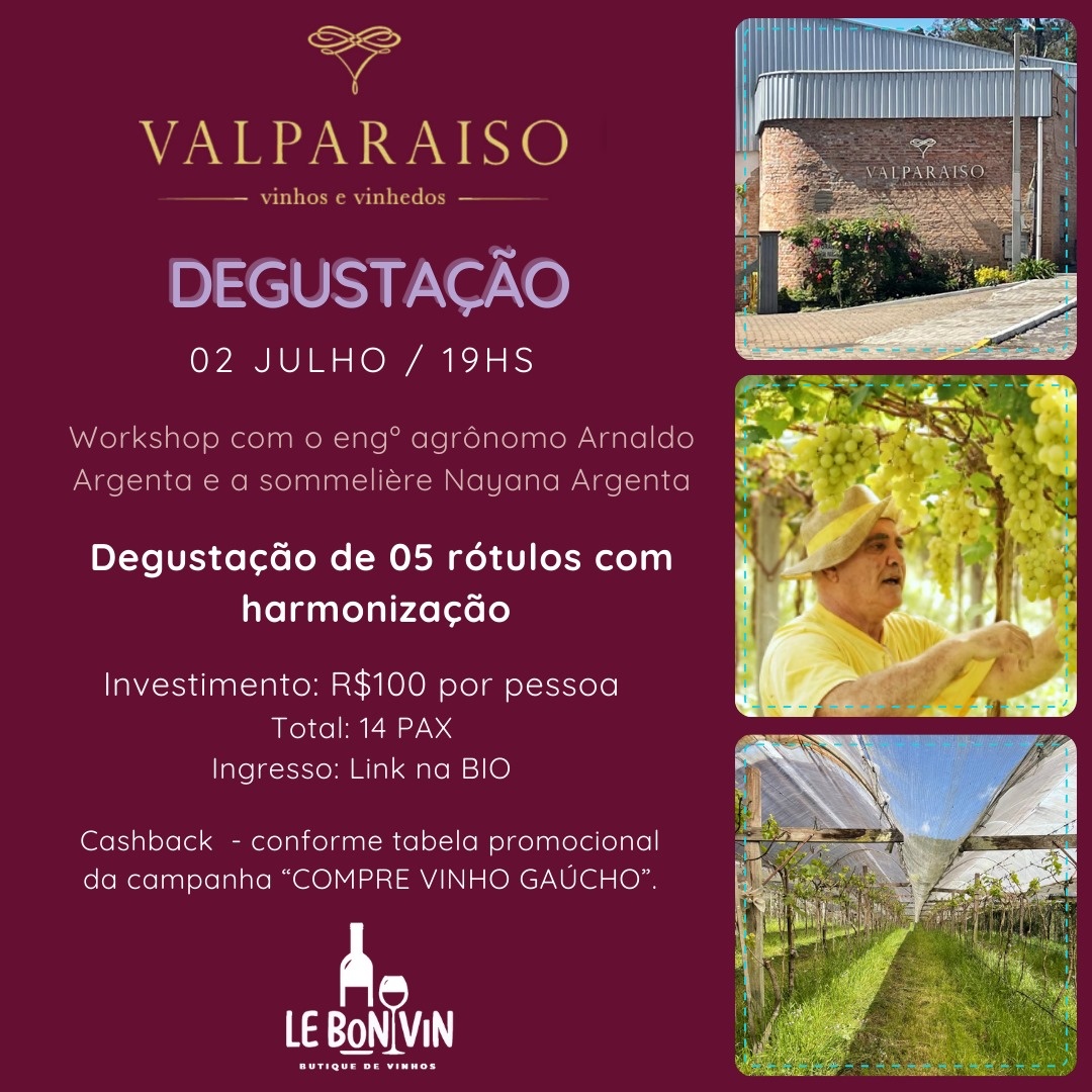 Le Bon Vin apresenta: Degustação Vinícola Valparaiso em São Paulo - Sympla